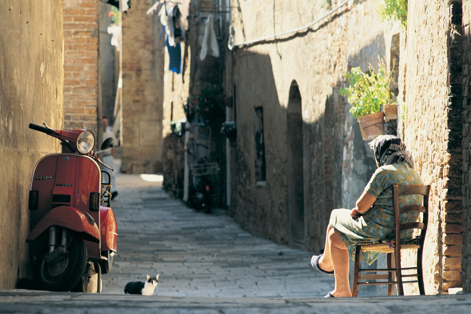 Italian News Articles in English - Italy News Online